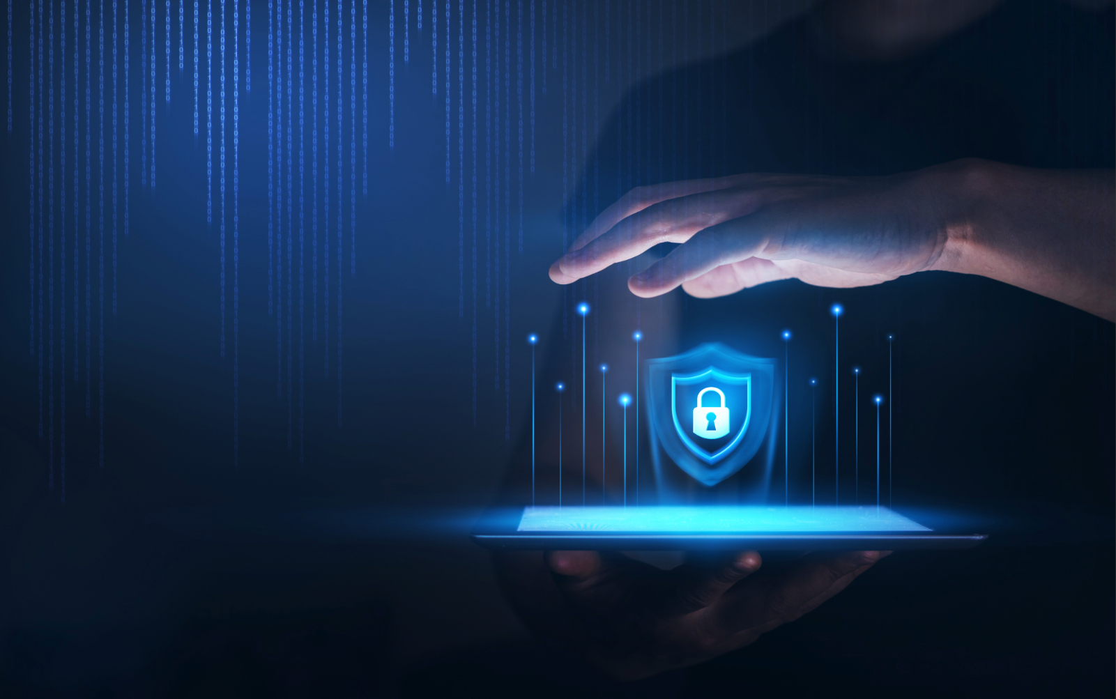 What Is Network Security Management? Benefits & How It Works